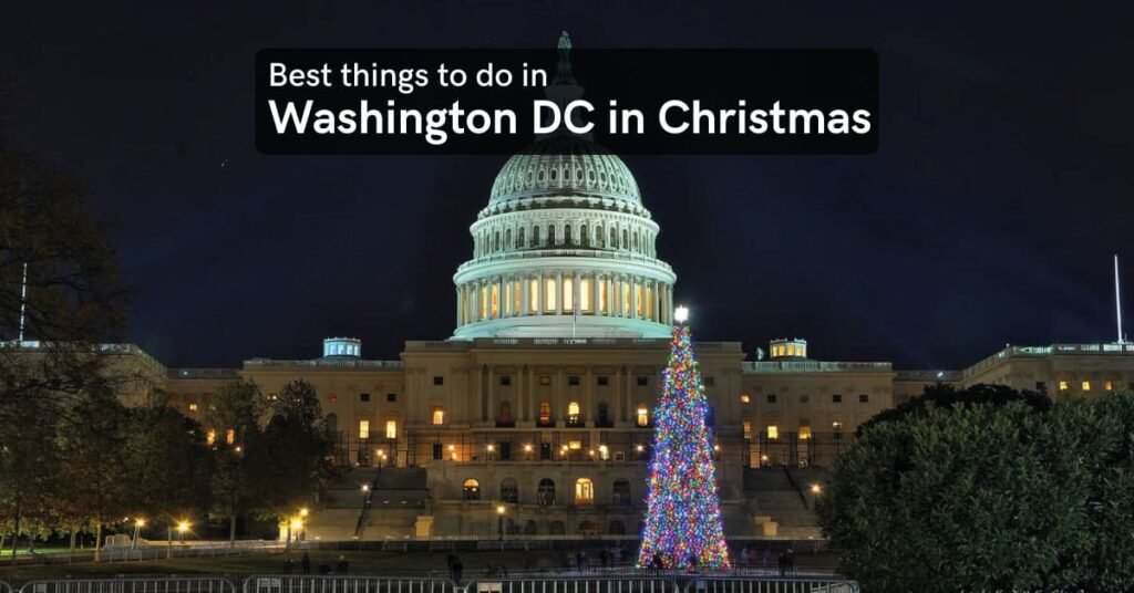 17 Fun Things To Do In Navy Yard DC - Explore Washington